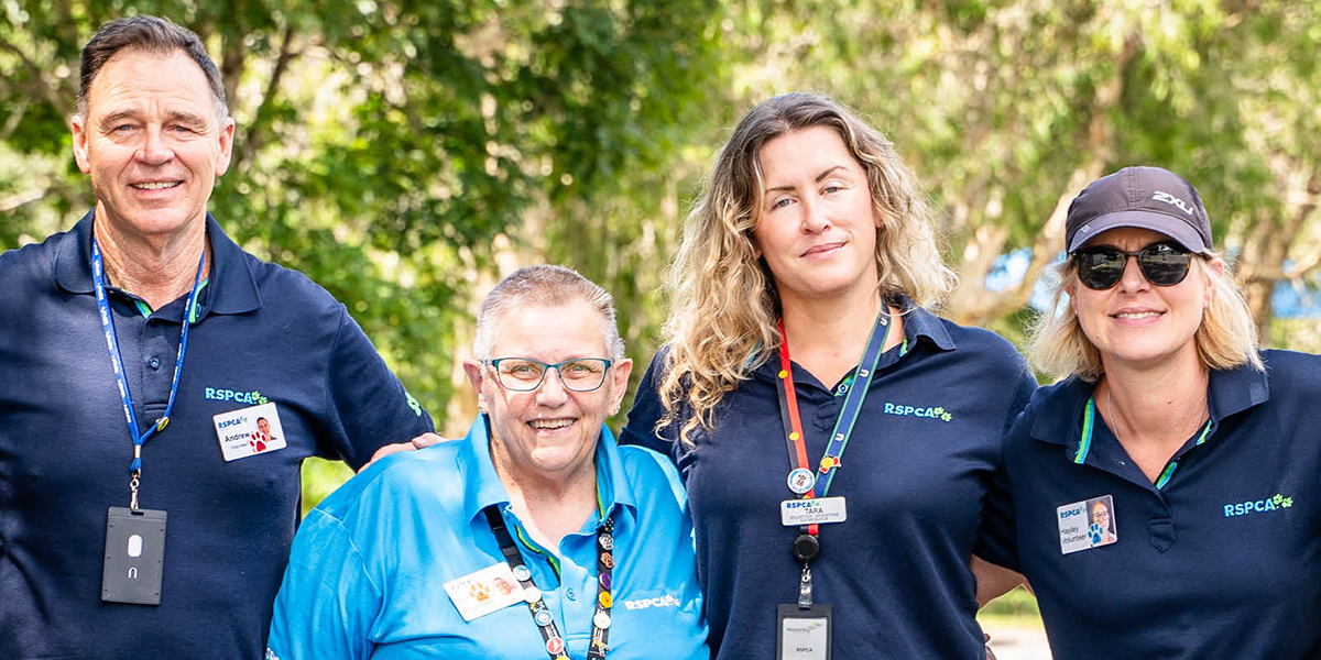 We Love our Volunteers! | RSPCA Queensland